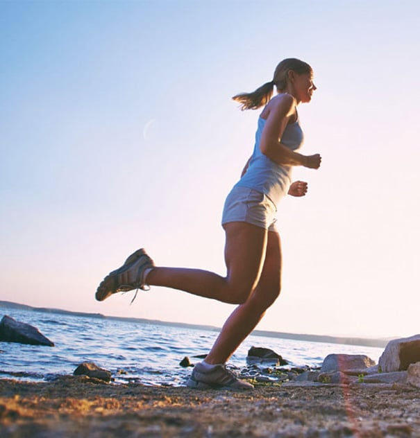 Lubravisc® Bio | Hyaluronic Acid for Osteoarthritis | Bohus